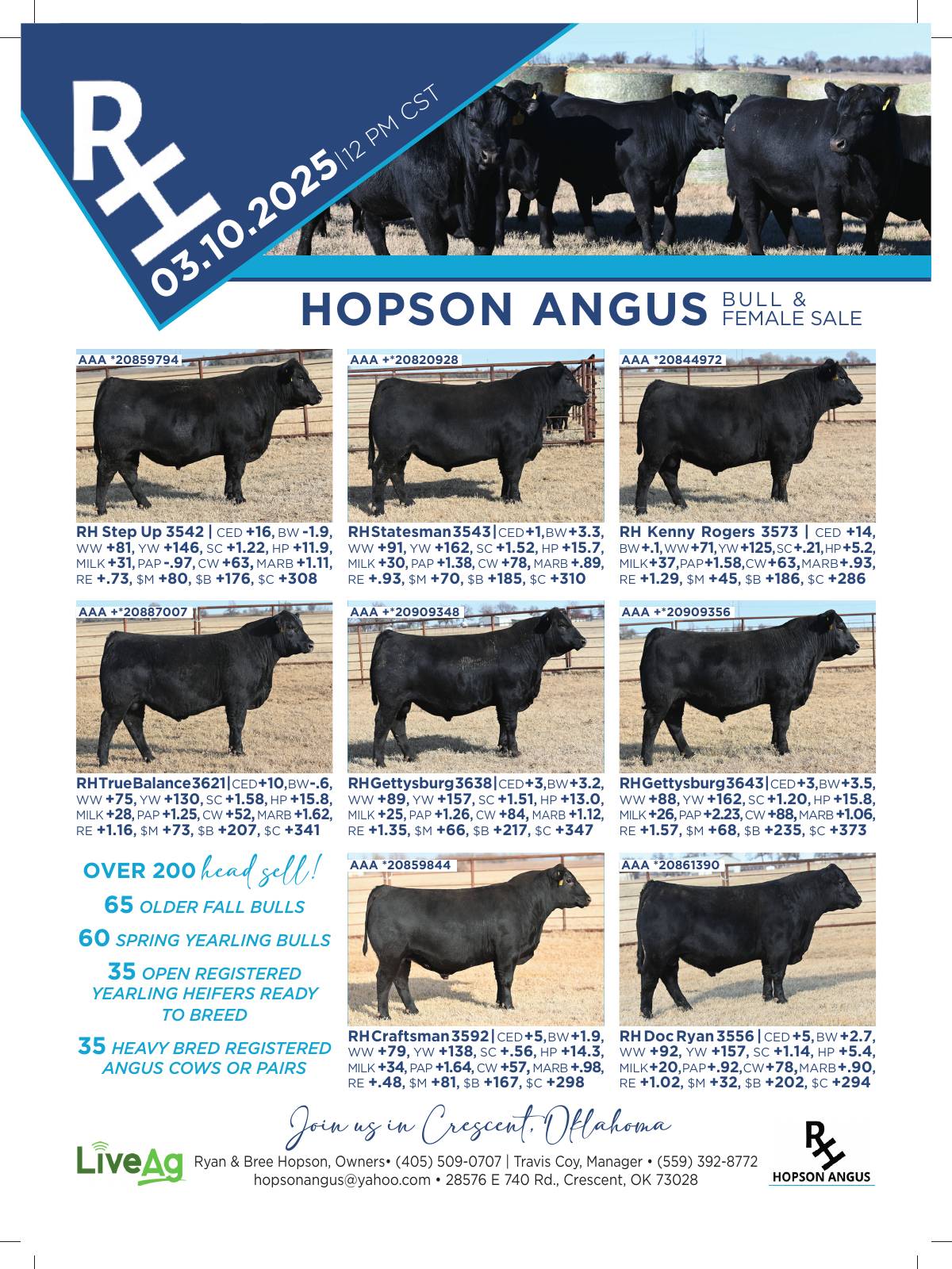 The Penny News Classifieds: Livestock